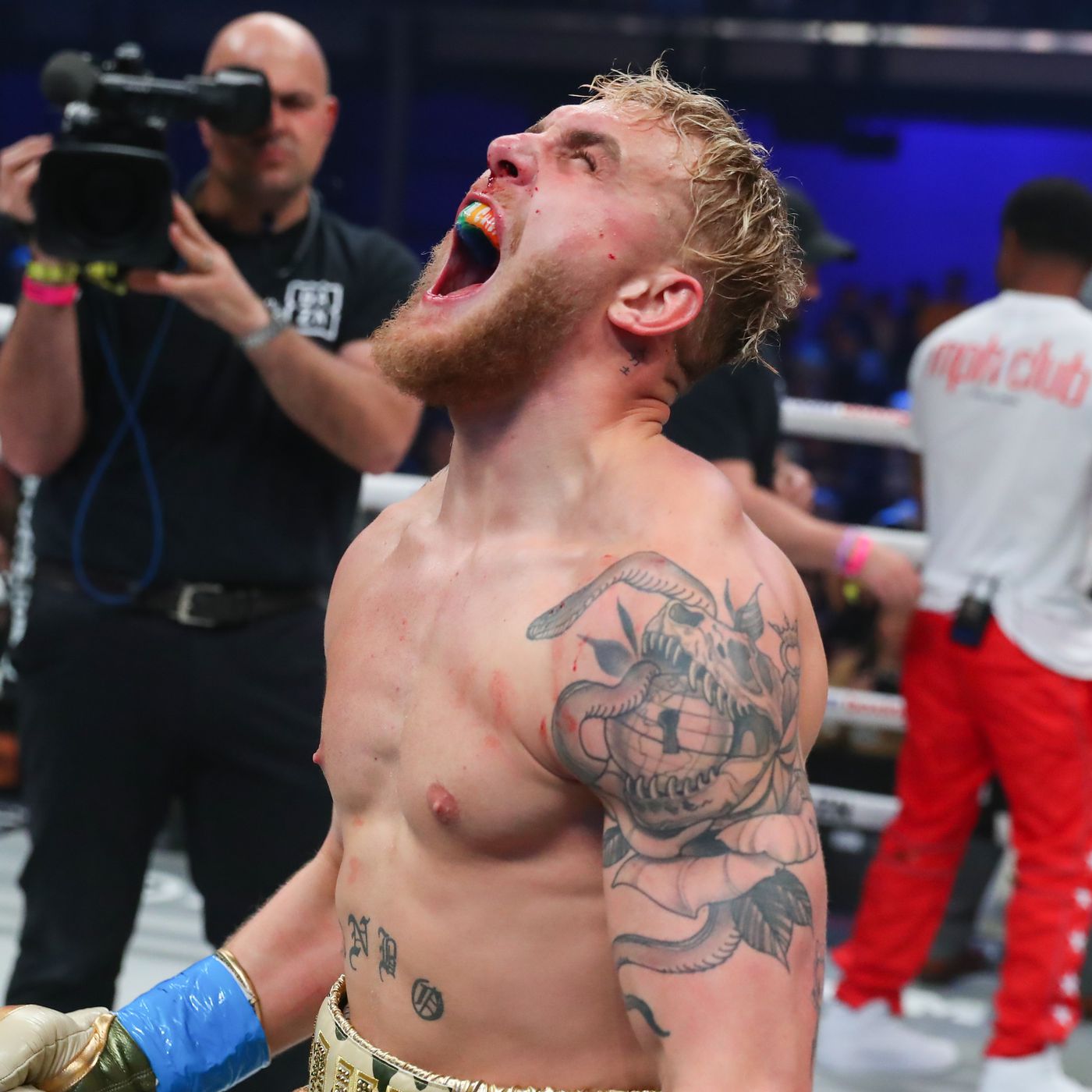 Are YouTuber Bouts The Future Of Professional Boxing? | MyBoxingFans ...
